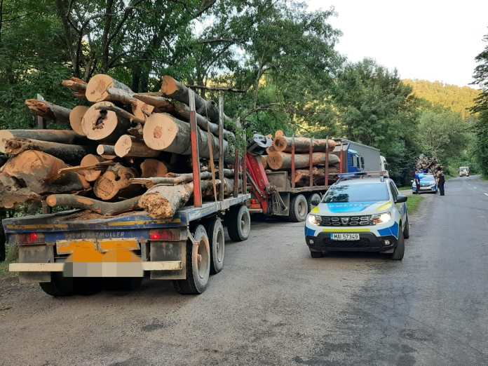 Un tânăr administrator reținut pentru frauda informatică după ce ar fi ...